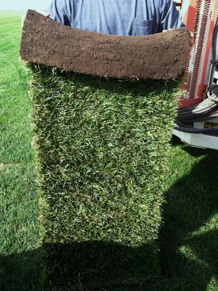 TURF SAVER RTF FESCUE SOD - Johnston Seed Company