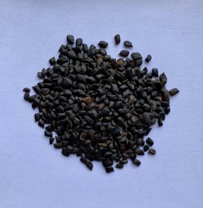 PARTRIDGE PEA - Johnston Seed Company