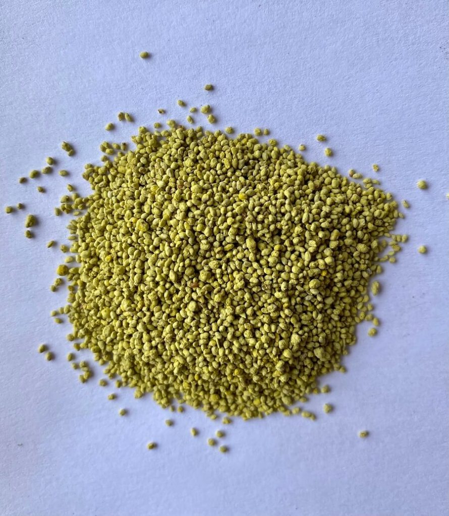 TIFFANY TEFF GRASS - Johnston Seed Company